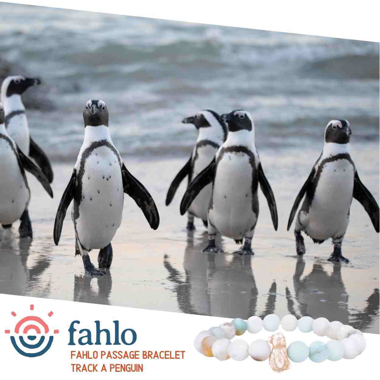 Fahlo Penguin Passage Tracking Bracelet | Just-Jonah